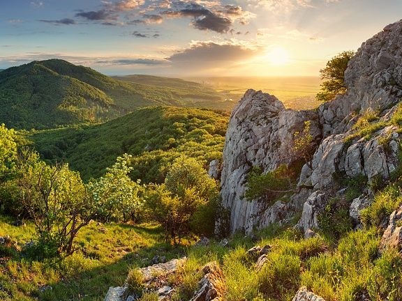 Bratislava Region | Vapenna